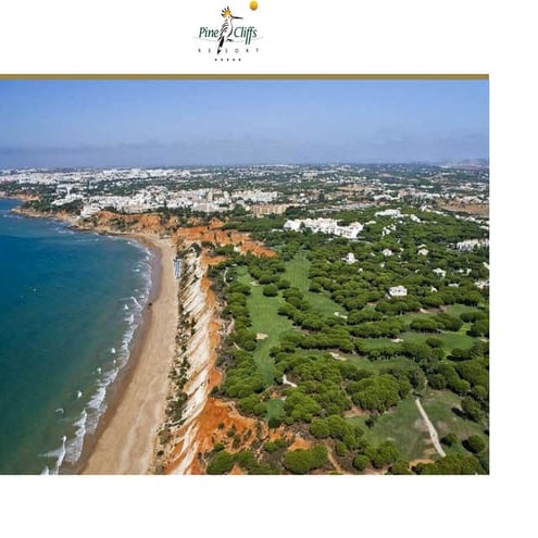 Pine Cliffs | PDF