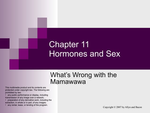 Male Sex Hormones Pptx