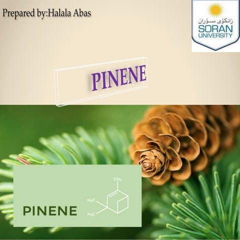 Pinene.pp.soran uni | PPTX