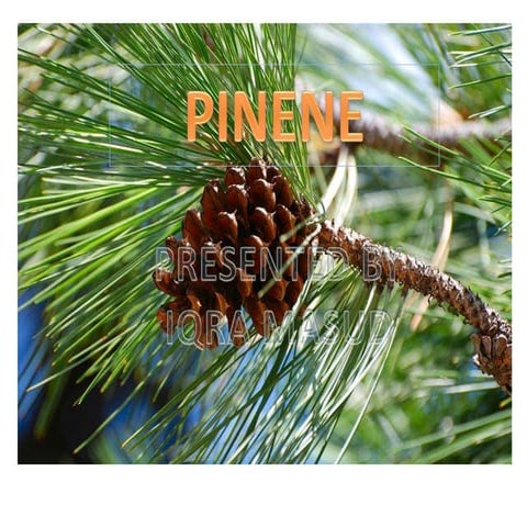 Pinene | PPTX