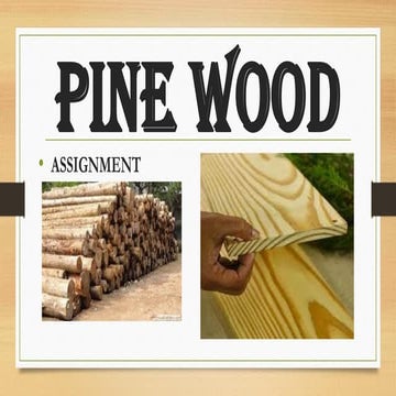 PINE WOOD.pdf