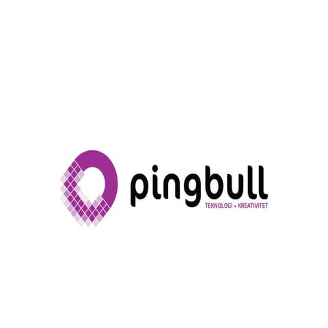 Pingbull Web Og E Commerce | PDF
