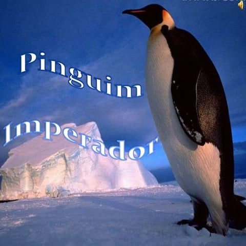 Pinguim Imperador | PPTX