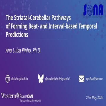 The Striatal-Cerebellar Pathways of forming Beat- and Interval-based Temporal Predictions | PDF