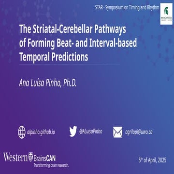 The Striatal-Cerebellar Pathways of Forming Beat- and Interval-based ...