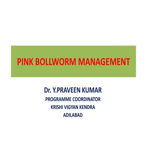 Pink Bollworm Management ppt | PPTX