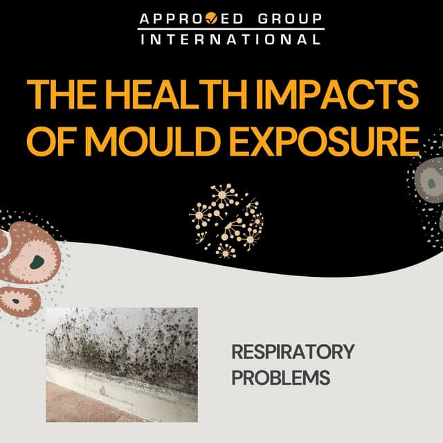 The Health Impacts of Mould Exposure | PDF