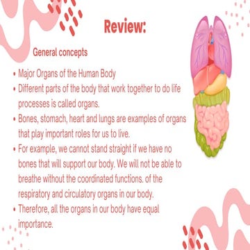 Pink Illustrative The Human Body Presentation .pdf