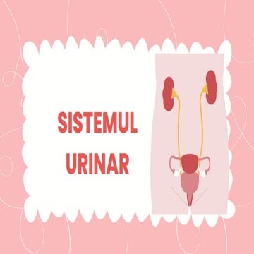 Pink Illustrative The Human Body Presentation _20240418_114634_0000.pdf