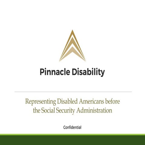 Pinnacle Disability Overview Presentation | PPT