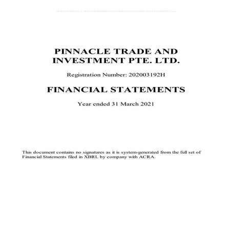 Pinnacle Trade And Investments 2021 Annual Report.pdf