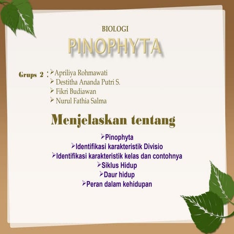 Pinophyta | PPT