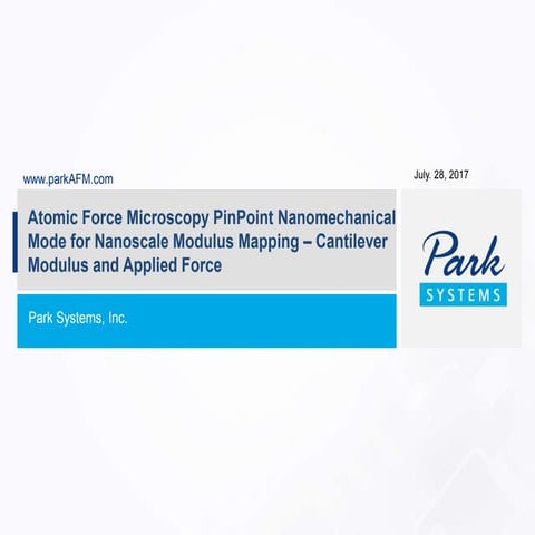 Park Systems Pin point presentation | PPTX