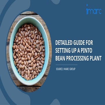Pinto Bean Processing Plant Project Report-pptx | PPTX