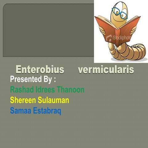 Pinworm | PPT
