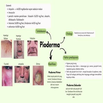 pioderma adadadadadadadadadadadadadadadad | PDF