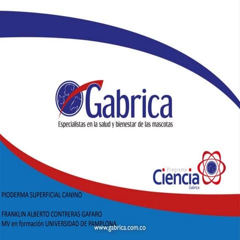 Pioderma superficial en caninos | PPTX