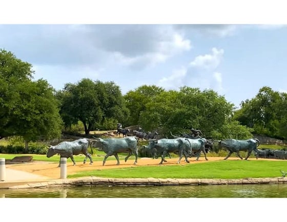 Logo Bonnie View Dental.pdf