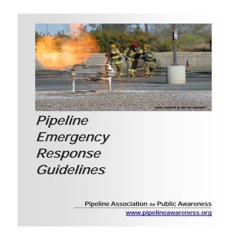 Pipeline er guidelines | PDF