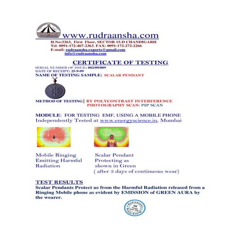 PIP SCAN scalar pendant | PDF