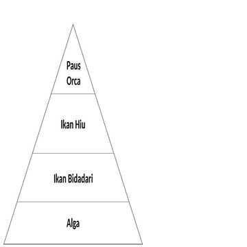 piramida energi dalam ekosistem material | PPTX
