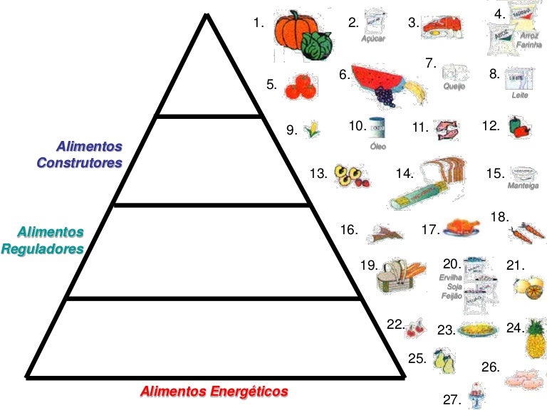 Piramide Da Cadeia Alimentar (PDF) O Ensino Da Pirâmide Alimentar E A