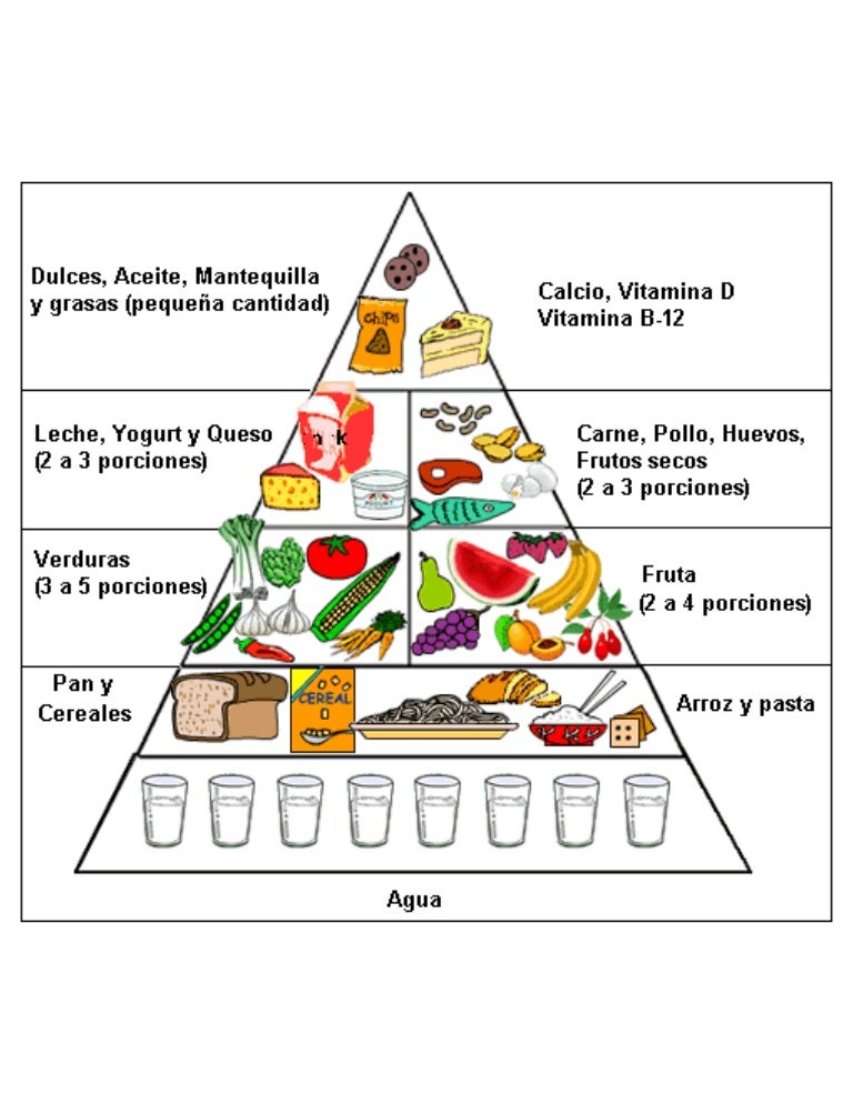 Piramide alimenticia