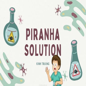PIRANHA SOLUTION.pptx