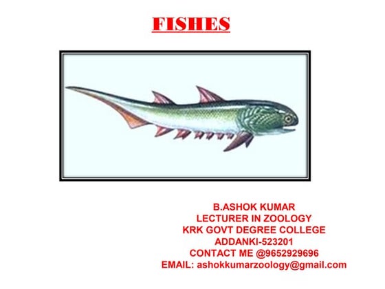 Classification-of-fishes.pdf