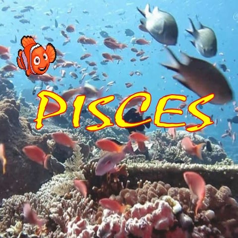 Pisces | PPT