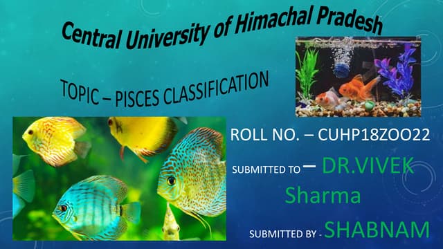 Classification of Class Cyclostomata up to order | PPTX