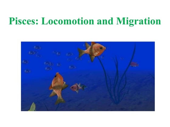 Migration of fishes ppt | PPT