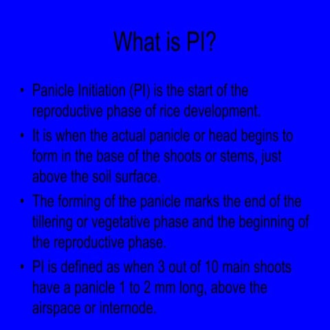 PI stage & adjustment, English.ppt
