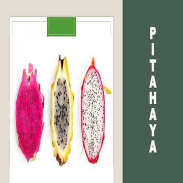 Pitahaya.pptx