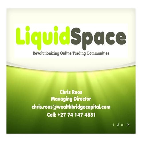 LiquidSpace Pitch Deck | PDF | Hedge Funds | Personal Investing