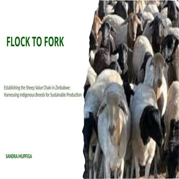 PRESENTATION_PITCH_FLOCK_TO_FORK___.pptx