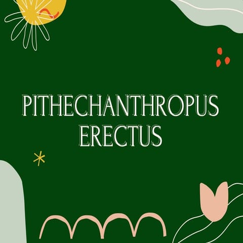 Pithechanthropus erectus.pdf