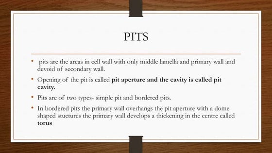 Pits and its types by Sohail | PPTX | Gardening | Home & Garden