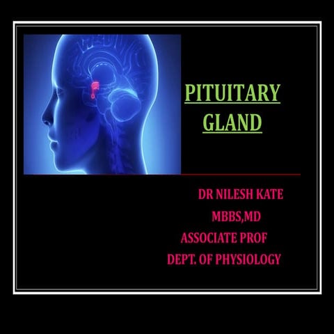 PCT- Renal physiology | PDF