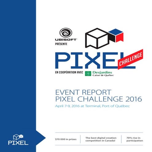 Pixel Challenge 2015 | Event Report | PDF