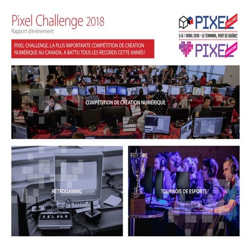 Pixel Challenge 2015 | Event Report | PDF