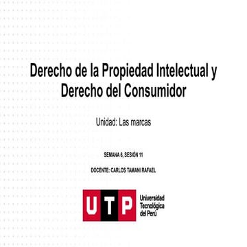 PIyC Marcas - S7 vf.pdf
