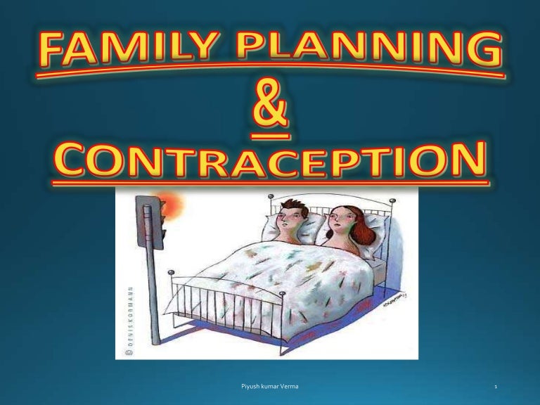 Lesson Plan On Family Planning And Contraception lesson-plan-on-family-planning-and-contraception