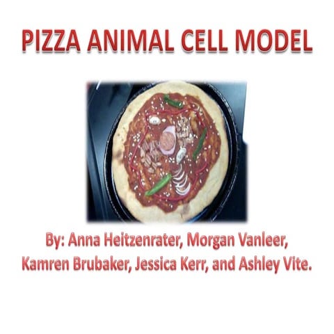 Pizza.cell.model.powerpoint | PPTX
