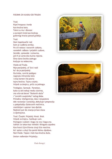 U kosi | PDF