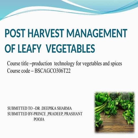 Food Safety Practices - Cleaning & sanitization fruits, vegetables ...