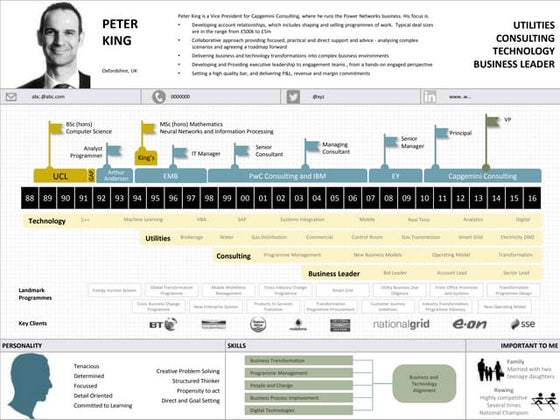 Great visual cv with timeline | PDF | Business | Business and Finance