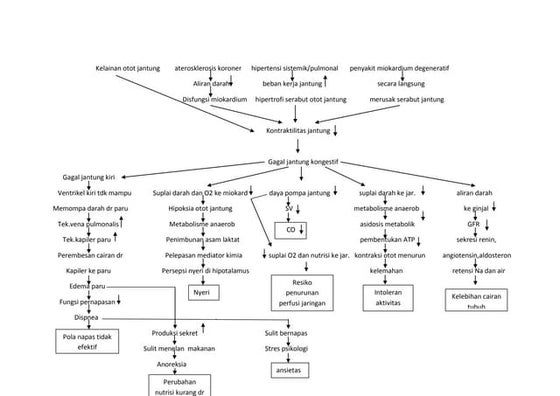 pathway dhfPathway dhf | DOCX