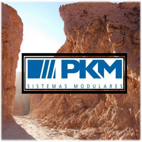 PKM Presentación.pptx