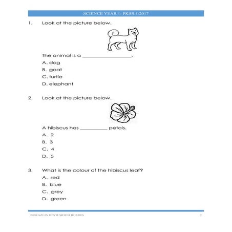 Exam Year 1- Science | PDF